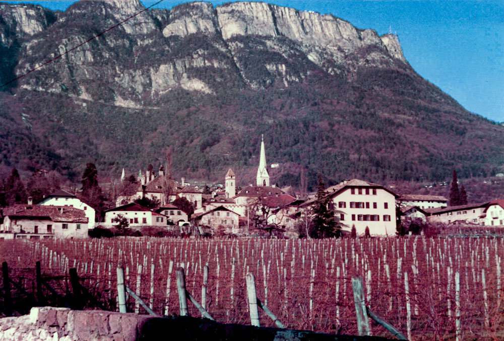 Bolzano, Italy, Meo Zuech’s homeland | Wine History Project of San Luis ...