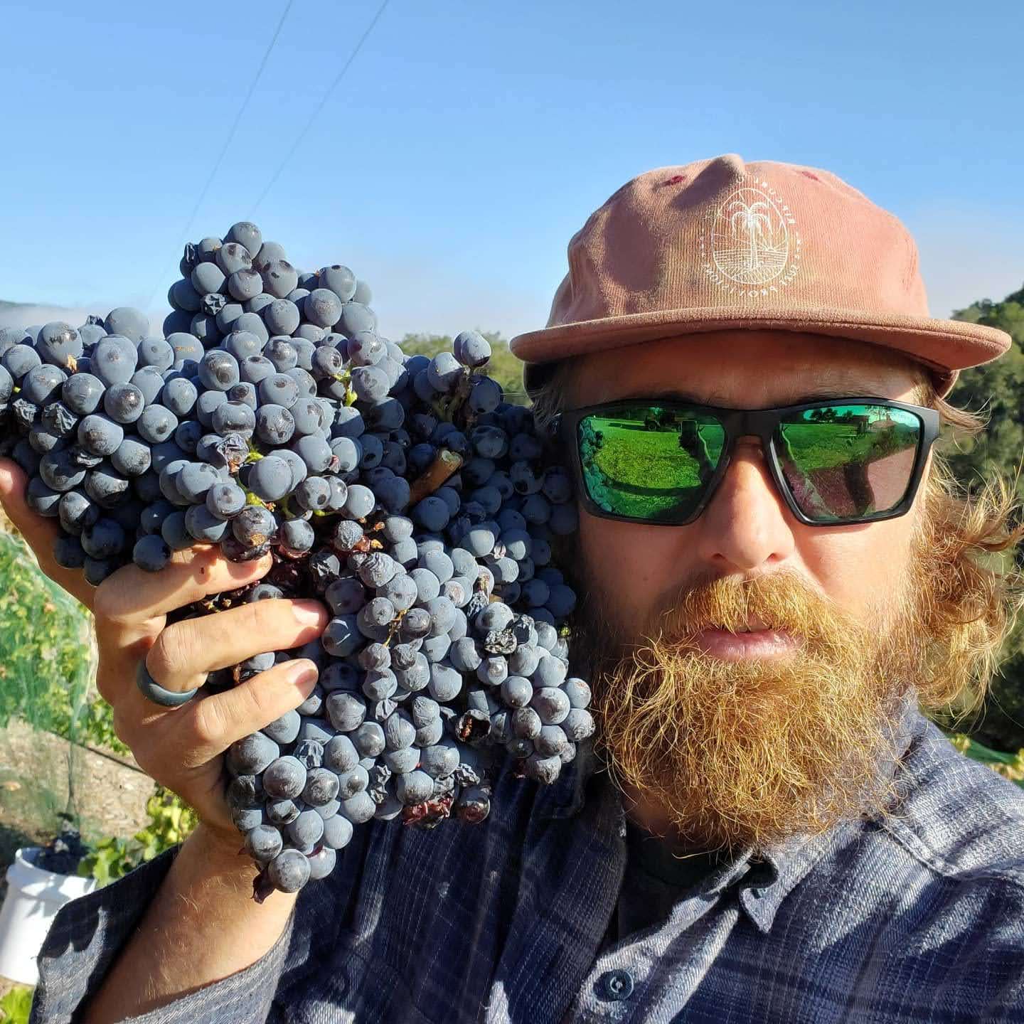 man-with-grapes | Wine History Project of San Luis Obispo County