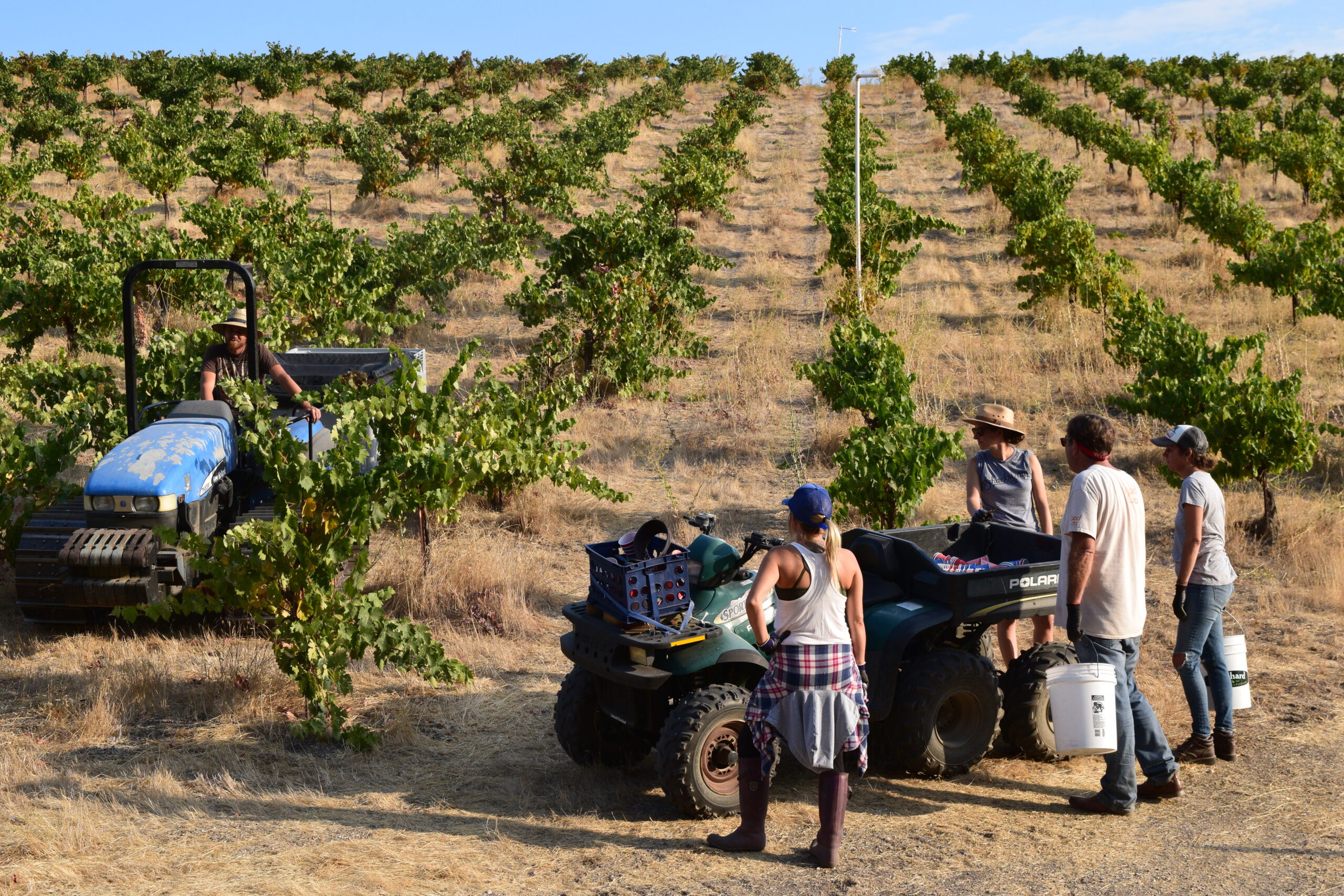 team in vineyard | Wine History Project of San Luis Obispo County