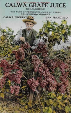 “Calwa” Non-Alcoholic Still & Sparkling Grape Juice, c1908 | Wine ...